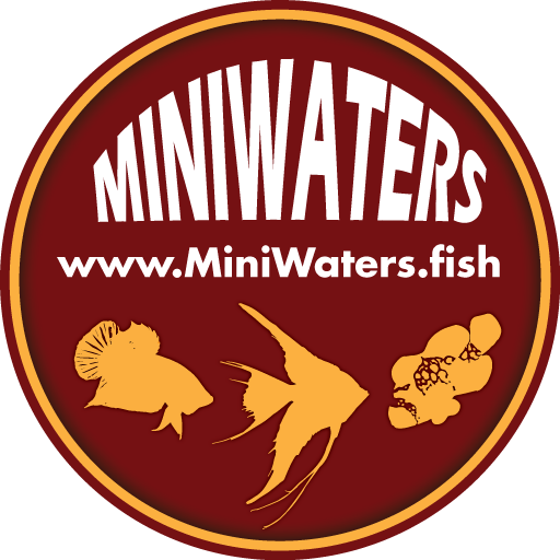 How To Order - Shop MiniWaters.FISH - Online Aquarium & Vivarium Boutique